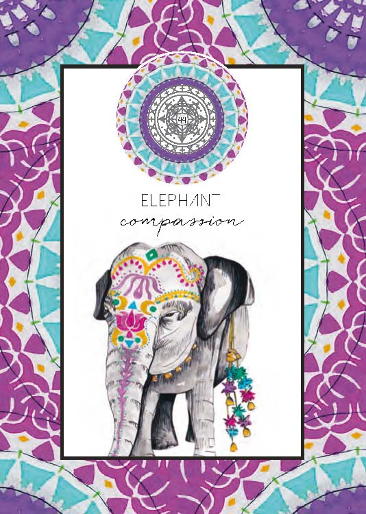 Animal Kin Oracle; Sarah Wilder – Symbolic Journey Noosa