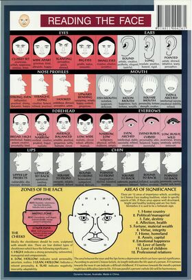 Reading the Face Mini Chart – Symbolic Journey Noosa